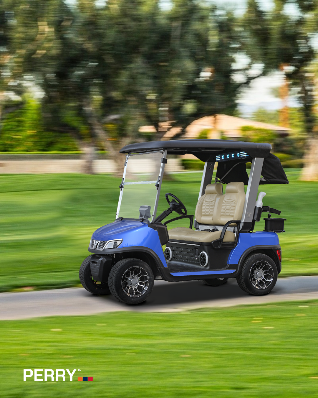 Discover the TARA Golf Cart Range: Versatility, Power & Unbeatable Val