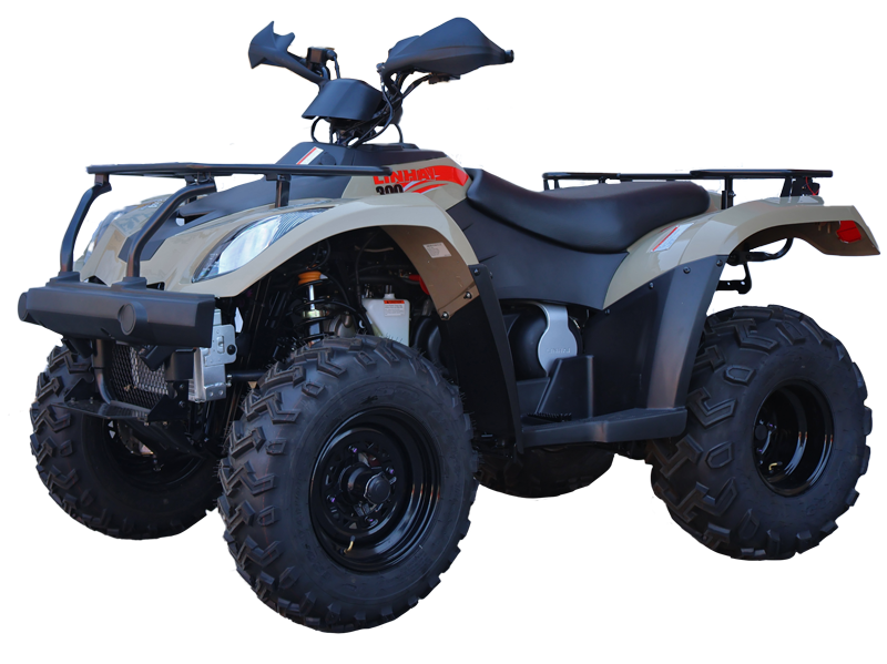 Linhai Rustler 300 2x4